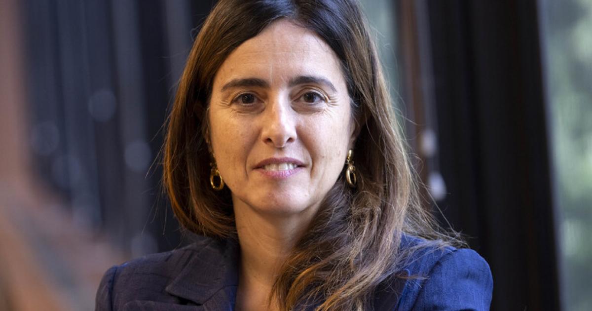 ANSA: Magaldi, servono incentivi mirati per l'indipendenza energetica ...